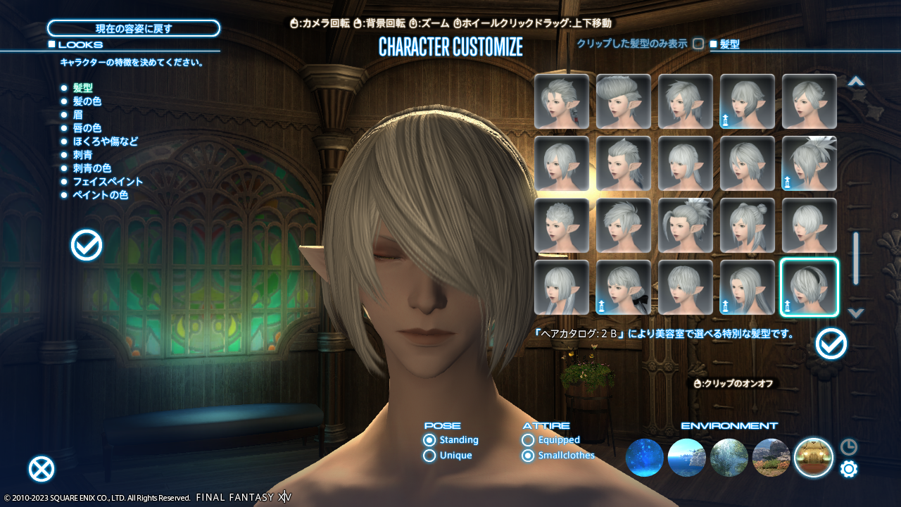 【FF14】2Bの髪型!!ヘアカタログ『2B』の見た目と入手方法 | カブりんのエオルゼア冒険譚